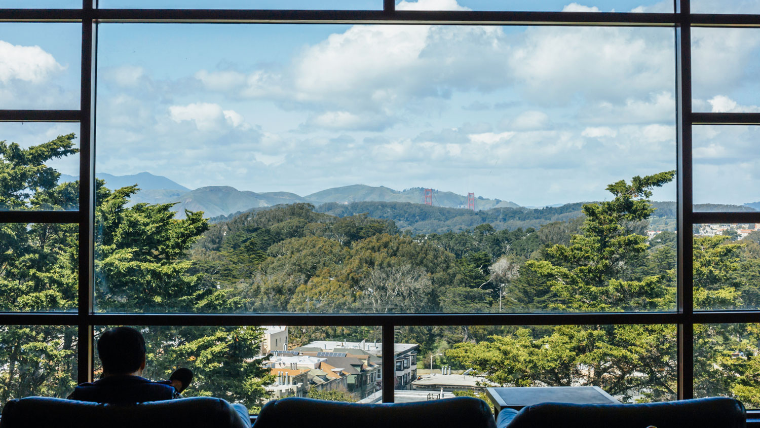 Zoom Backgrounds for UCSF Alumni | UCSF Alumni